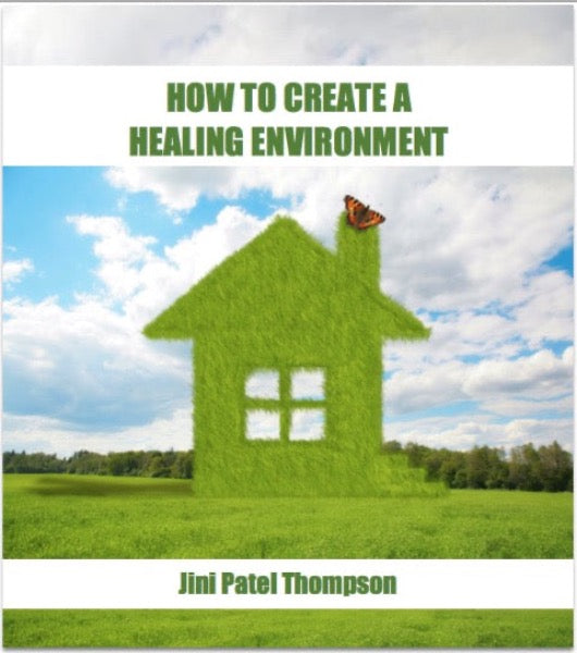 How To Create a Healing Environment (eBook, Workbook, Video) - by Jini ...